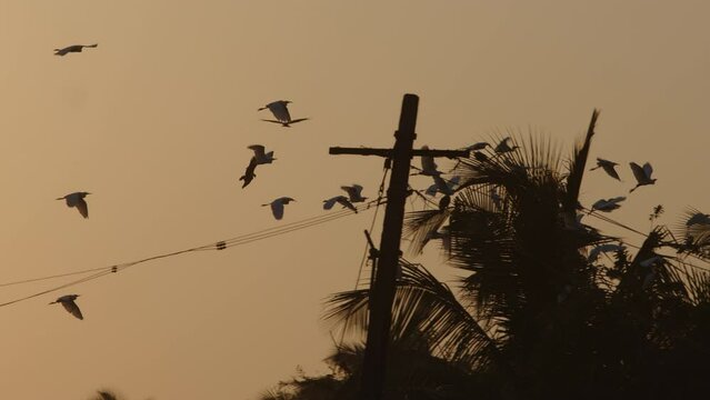 Suddenly Images – Parcourir 13,021 le catalogue de photos, vecteurs et ...