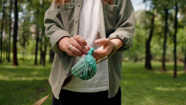 Picking Up Poop Images – Browse 3,457 Stock Photos, Vectors, and Video ...