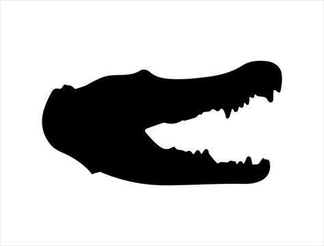 Crocodile Head Outline