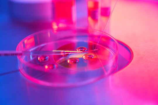 รูปภาพIcsi – เลือกดูภาพถ่ายสต็อก เวกเตอร์ และวิดีโอ628 | Adobe Stock