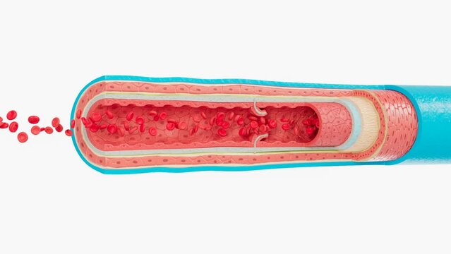 Backflow Valve Images – Browse 171 Stock Photos, Vectors, and Video ...