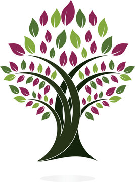 Tree Of Life Fitness Images – Browse 13,751 Stock Photos, Vectors, and ...