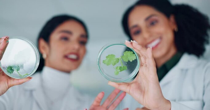 "Scientific Experiment" Images – Browse 1,047,339 Stock Photos, Vectors ...