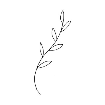 "Simple Leaf" Images – Browse 3,743 Stock Photos, Vectors, and Video ...