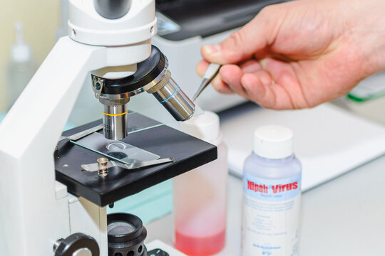 รูปภาพNiv – เลือกดูภาพถ่ายสต็อก เวกเตอร์ และวิดีโอ341 | Adobe Stock