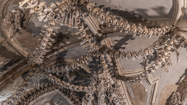 Ossuarium Bilder – Durchsuchen 5,367 Archivfotos, Vektorgrafiken und Videos | Adobe Stock