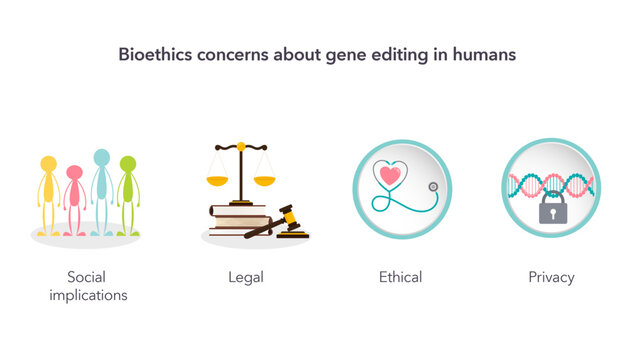 Bioethics Images – Browse 1,277 Stock Photos, Vectors, and Video ...