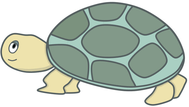 Old Turtle Cartoon Images – Browse 1,976 Stock Photos, Vectors, and ...