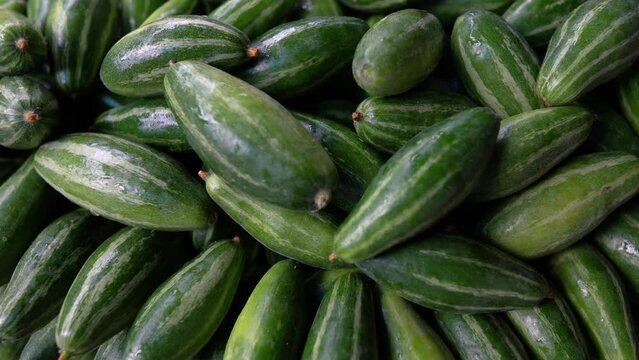 Parval Images – Browse 872 Stock Photos, Vectors, and Video | Adobe Stock