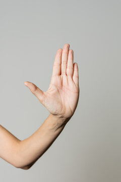 Signe Main Images – Browse 3,093 Stock Photos, Vectors, and Video ...