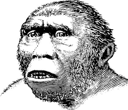"Java Man" Images – Browse 40 Stock Photos, Vectors, and Video | Adobe ...