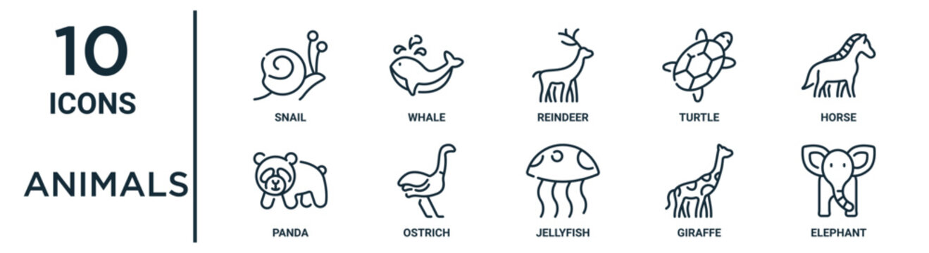 "Snail Mail Images – Parcourir 6,275 le catalogue de photos, vecteurs ...