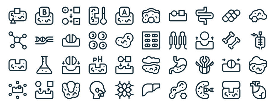 Inhibition Images – Browse 3,277 Stock Photos, Vectors, and Video ...