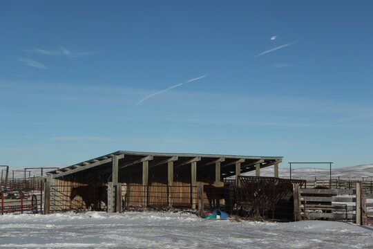 Suborn Bilder – Durchsuchen 255 Archivfotos, Vektorgrafiken und Videos ...