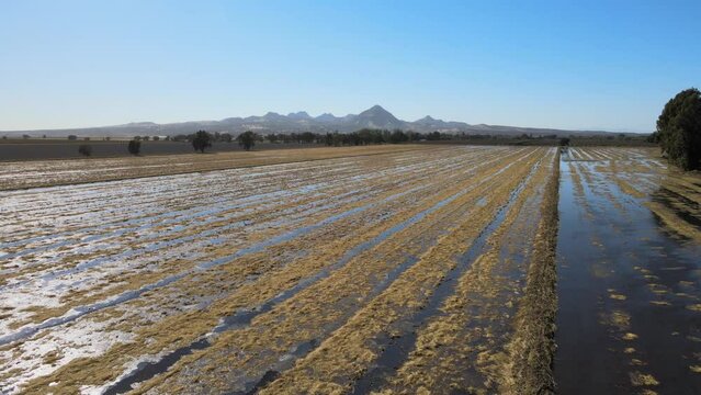 "Sutter Buttes" Images – Browse 30 Stock Photos, Vectors, and Video ...