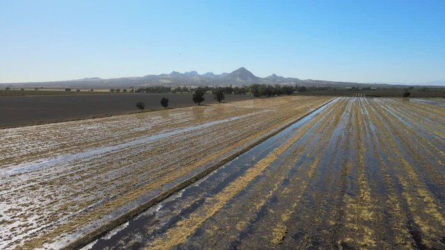 "Sutter Buttes" Images – Browse 30 Stock Photos, Vectors, and Video ...