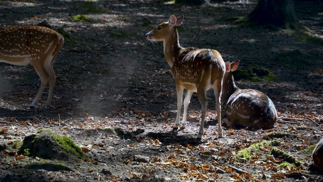 Dow Bilder – Durchsuchen 5,996 Archivfotos, Vektorgrafiken und Videos ...
