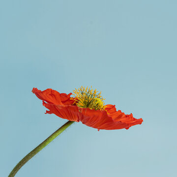 Neutral Blue Background Images – Browse 111,234 Stock Photos, Vectors ...