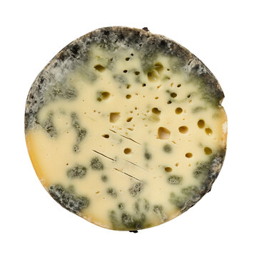 "Moldy Cheese" Images – Browse 255 Stock Photos, Vectors, and Video ...