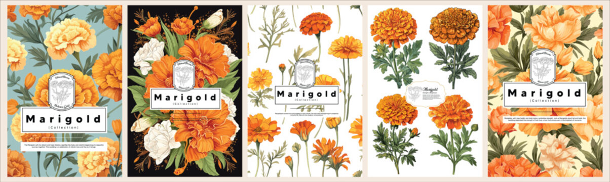 Marigold Illustration Images – Browse 23,810 Stock Photos, Vectors, and ...