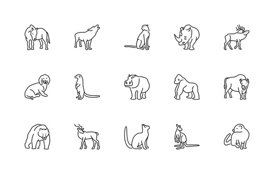 "Pocket Gopher" Imagens – Procure 21,151 fotos, vetores e vídeos ...