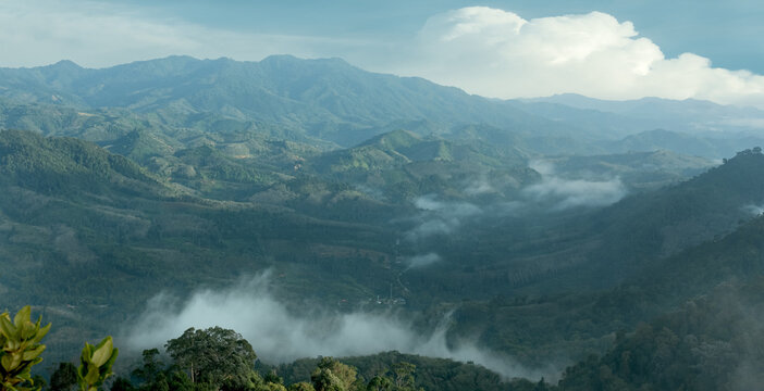 Batong Images – Browse 19 Stock Photos, Vectors, and Video | Adobe Stock