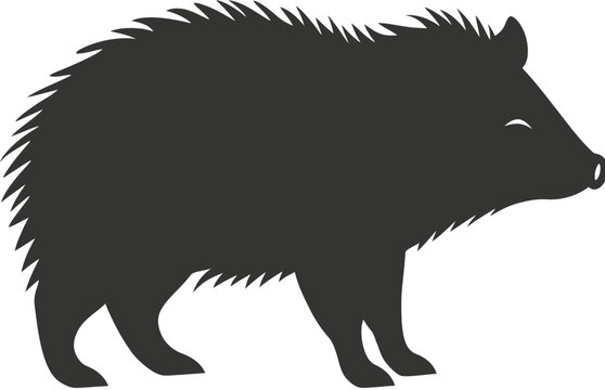 Afbeeldingen over "Musk Hog" – Blader in stockfoto's, vectoren en video ...