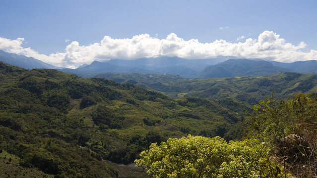 รูปภาพAfforest – เลือกดูภาพถ่ายสต็อก เวกเตอร์ และวิดีโอ40,939 | Adobe Stock