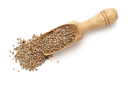 Bajra Images – Browse 2,023 Stock Photos, Vectors, and Video | Adobe Stock