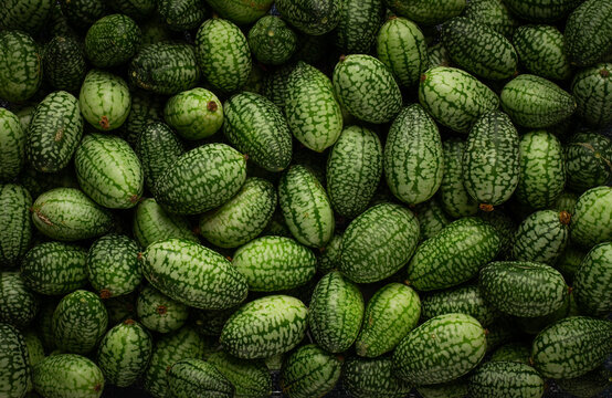 "African Cucumber" Images – Browse 188 Stock Photos, Vectors, and Video ...