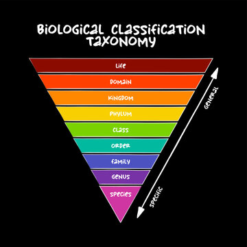 Taxonomy Biology Kingdom