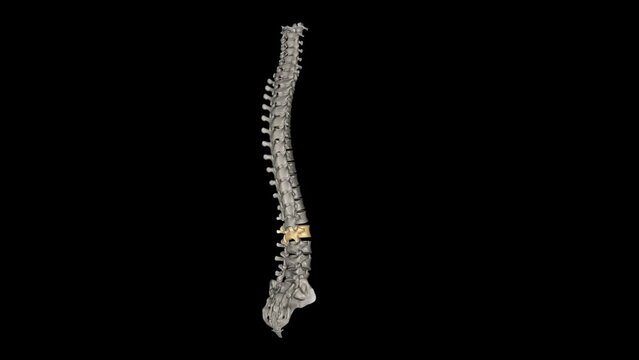 「L2」の写真素材 | 902件の無料イラスト画像 | Adobe Stock