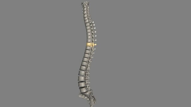 T7 Images – Browse 187 Stock Photos, Vectors, and Video | Adobe Stock