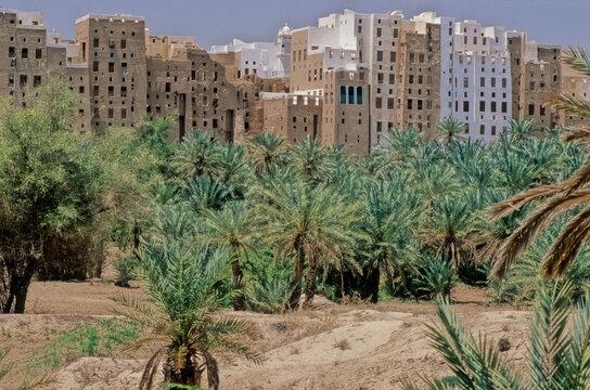 Hadramawt Bilder – Durchsuchen 166 Archivfotos, Vektorgrafiken und ...