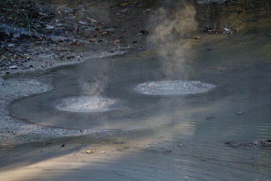 Bokke Images – Browse 222 Stock Photos, Vectors, and Video | Adobe Stock