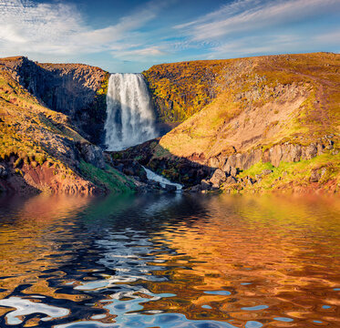 Andrew Mayovskyy : photos, images, fichiers | Adobe Stock