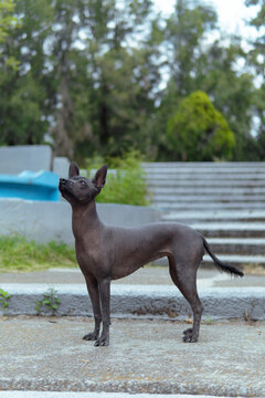 Parado Bilder – Durchsuchen 1,914 Archivfotos, Vektorgrafiken und ...