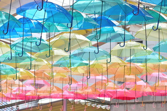 Clopping-Bilder: Stock-Fotos & -Videos. | Adobe Stock