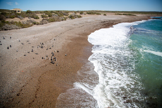 "Punta Tombo" Images – Browse 1,896 Stock Photos, Vectors, and Video ...