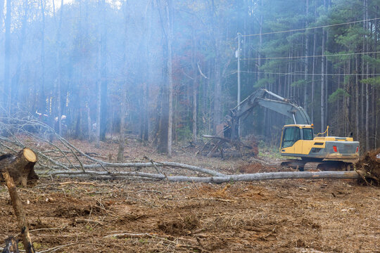 "Destroyed Forest" Bilder – Durchsuchen 890 Archivfotos, Vektorgrafiken ...
