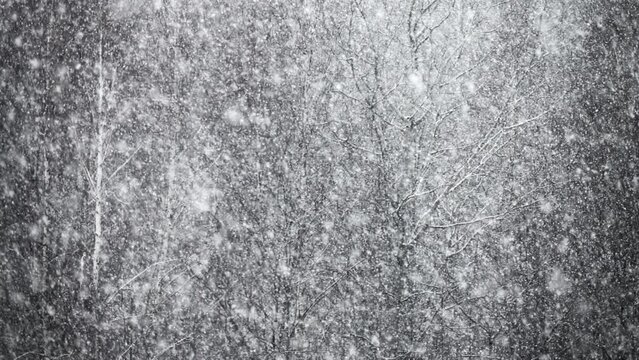 "Snow Drop" Images – Browse 907 Stock Photos, Vectors, and Video ...