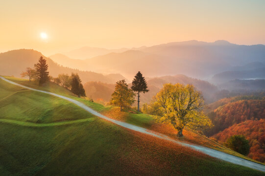 den-belitsky 写真、画像、アセット | Adobe Stock