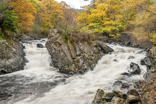 Queen Elizabeth Park Waterfall
