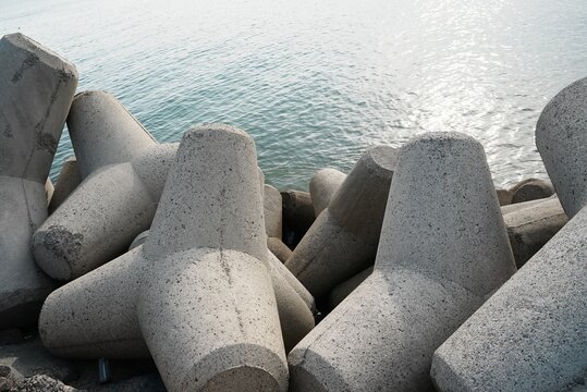 Tetrapods Bilder – Durchsuchen 16,358 Archivfotos, Vektorgrafiken und ...