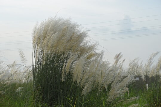 Kashful Images – Browse 412 Stock Photos, Vectors, and Video | Adobe Stock