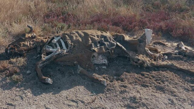 Moer Images – Browse 3,841 Stock Photos, Vectors, and Video | Adobe Stock