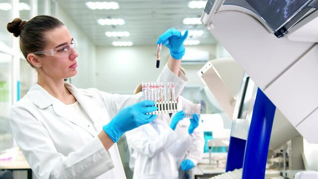 Requisition Images – Browse 2,637 Stock Photos, Vectors, and Video ...