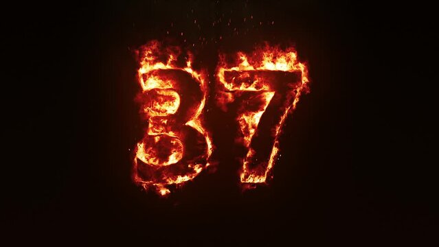 "Number 37" Images – Browse 14,287 Stock Photos, Vectors, and Video ...