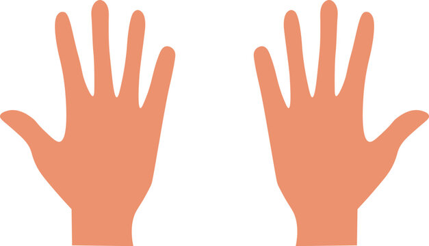 Vector Hand