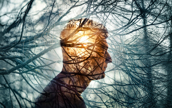 «Tryfonov» — фотографии, изображения, ресурсы | Adobe Stock